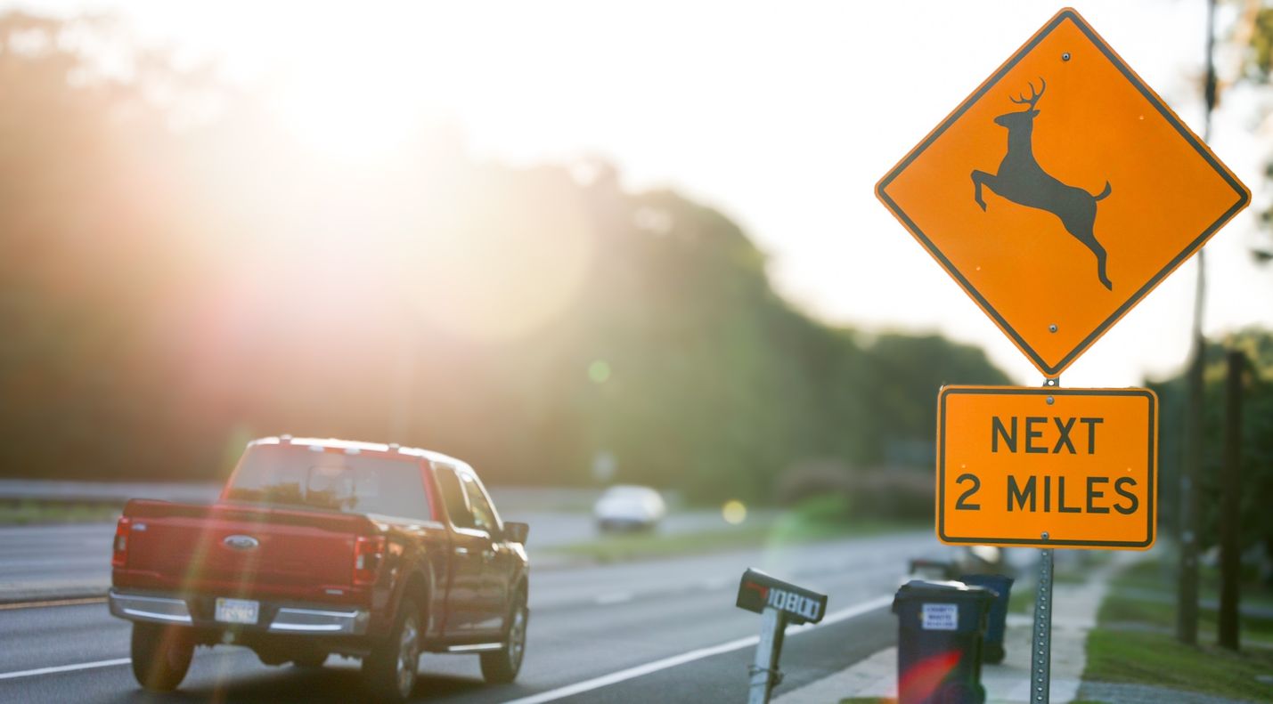 Statewide | Darker evening commutes and deer mating season breed higher ...