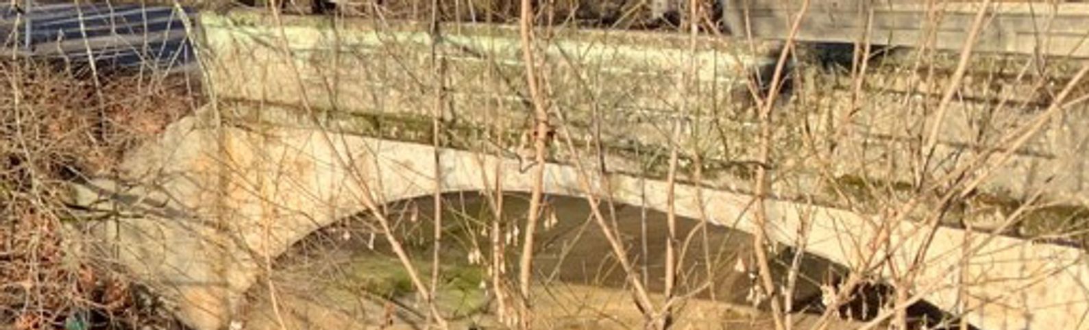 Route 16 bridge replacement (Tazewell County) | Virginia Department of ...