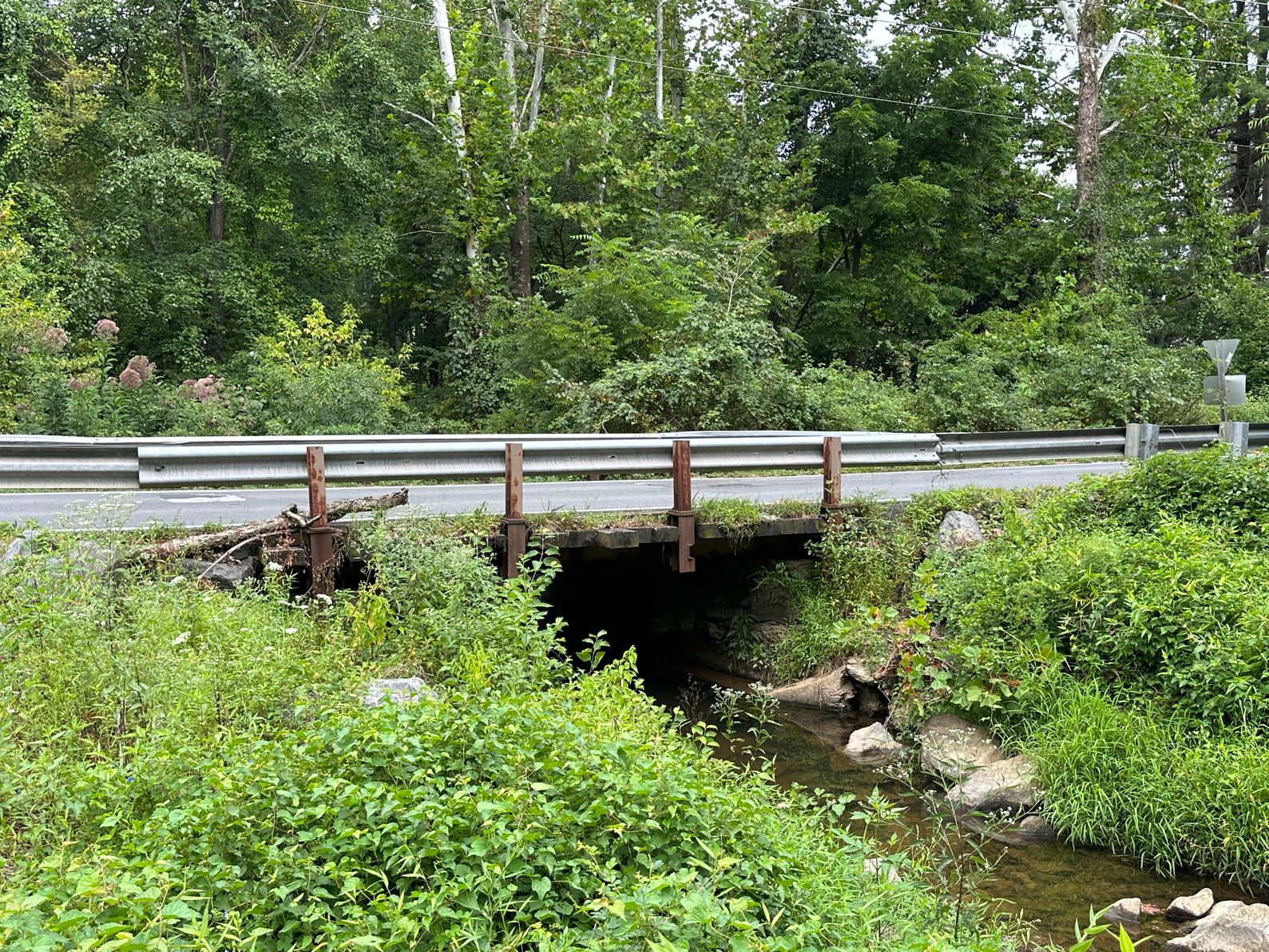 Walker Road over Piney Run bridge replacement in Fairfax County ...