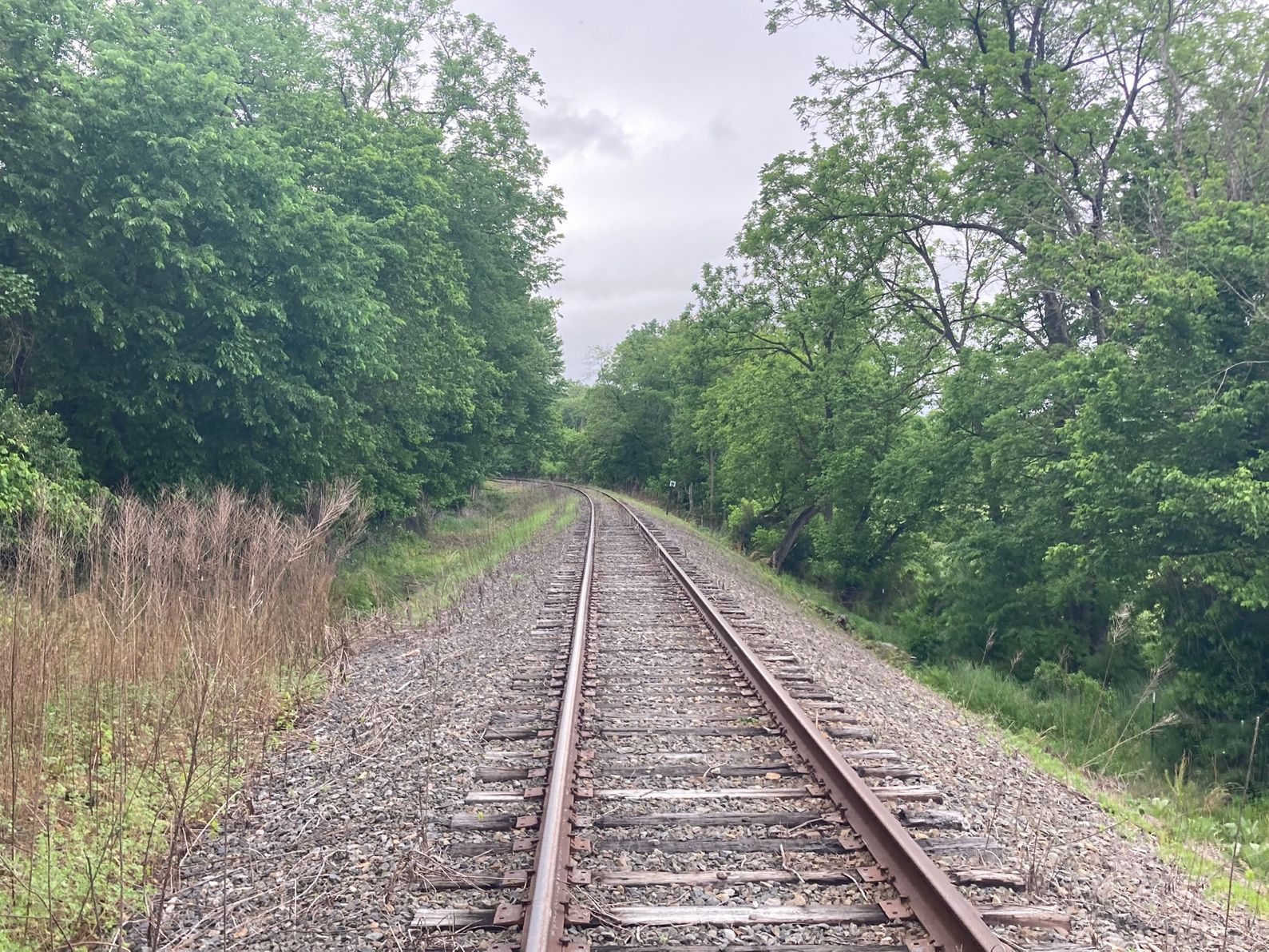 Rockingham, Shenandoah and Warren Counties - Shenandoah Valley rail ...